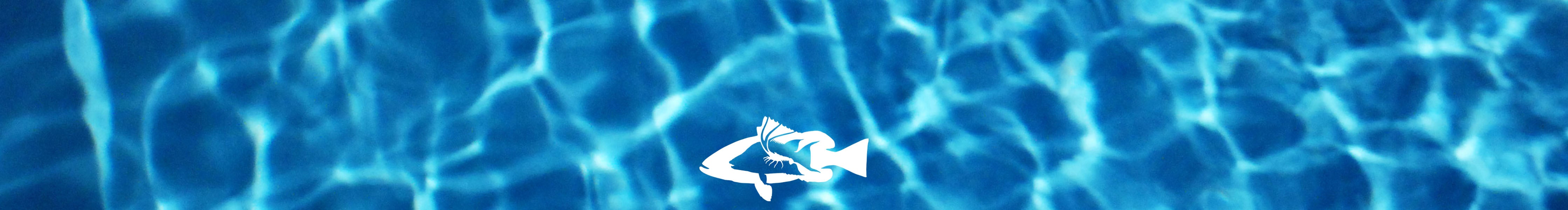 Diver Collection – 3rd Reef Line