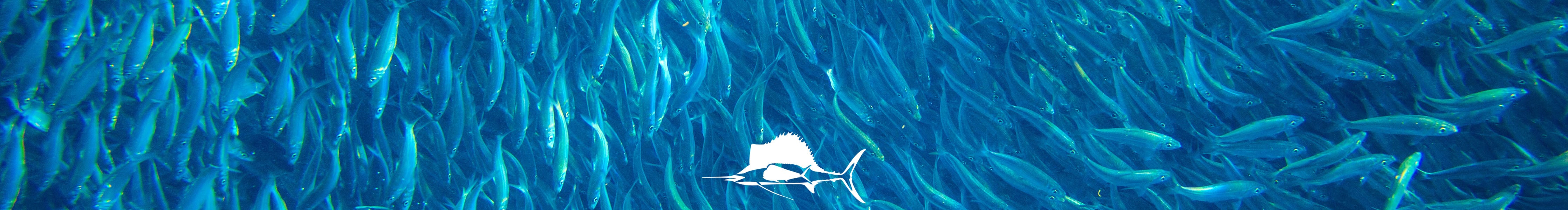 Offshore Collection – 3rd Reef Line