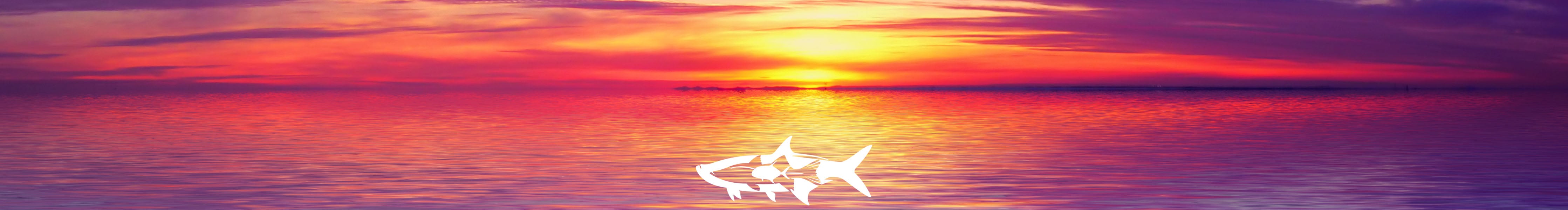 Inshore Collection – 3rd Reef Line