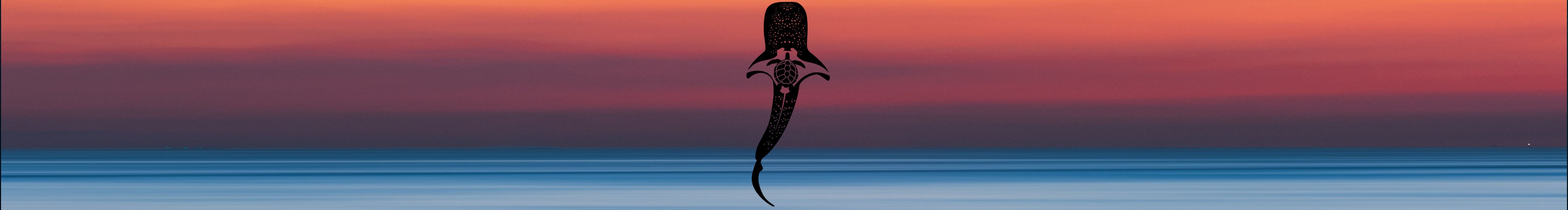 Reef Hugger Collection – 3rd Reef Line